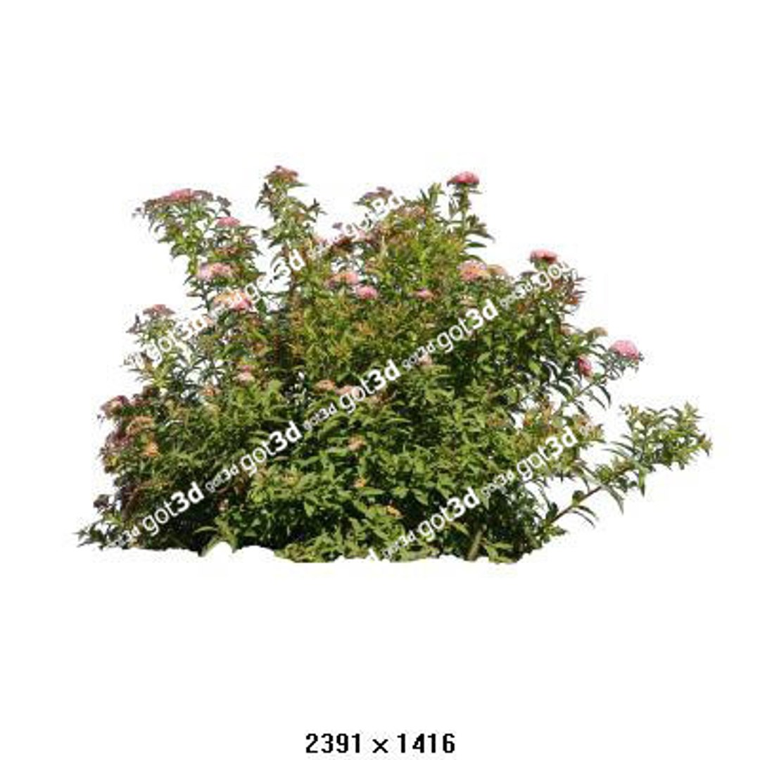 35 Bush Textures - Vol. 4 - TurboSquid 385039