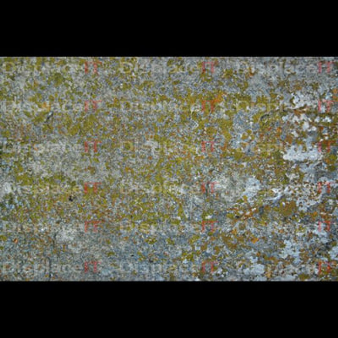 Lichen Stone 2 - TurboSquid 372301