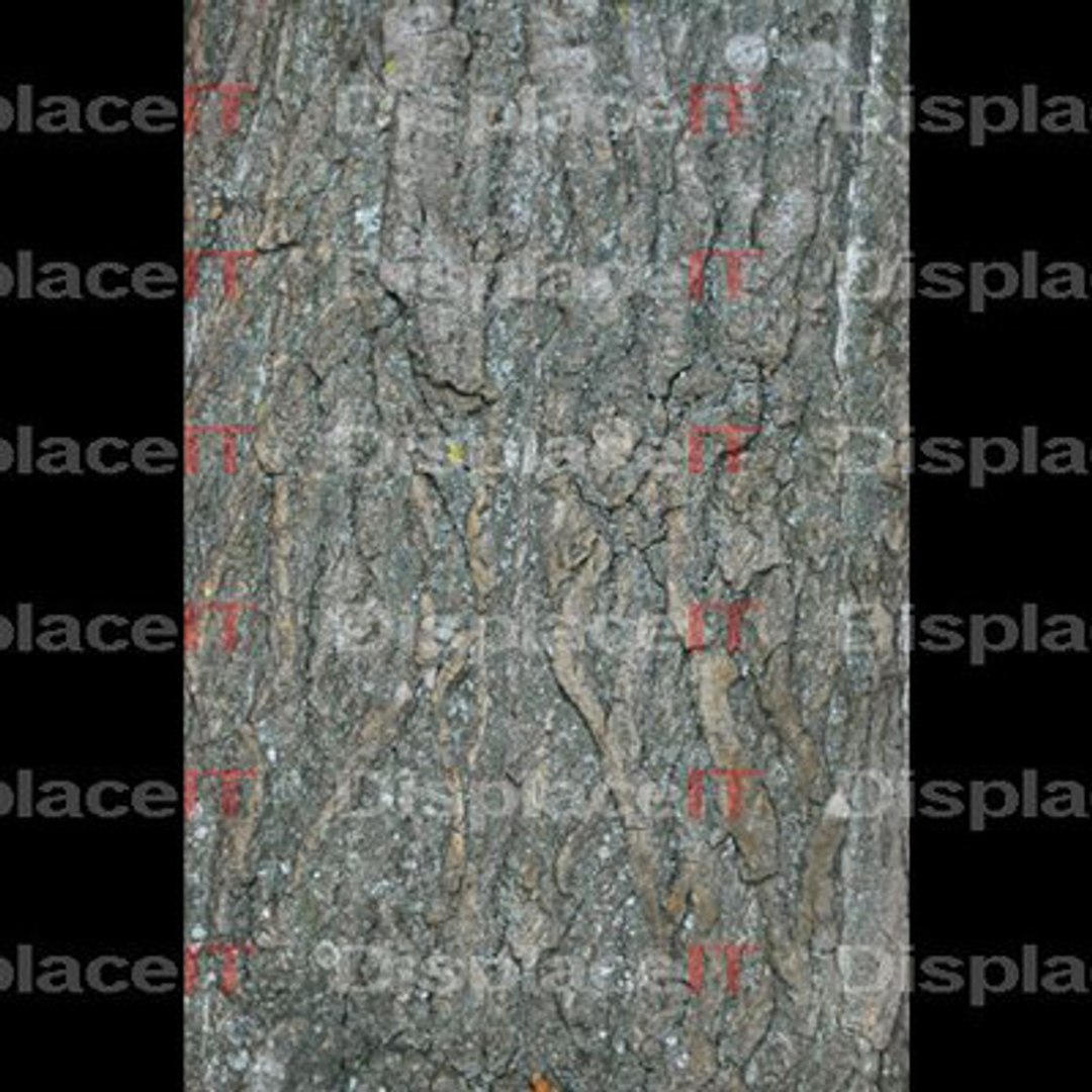 Ashen Bark - TurboSquid 372310