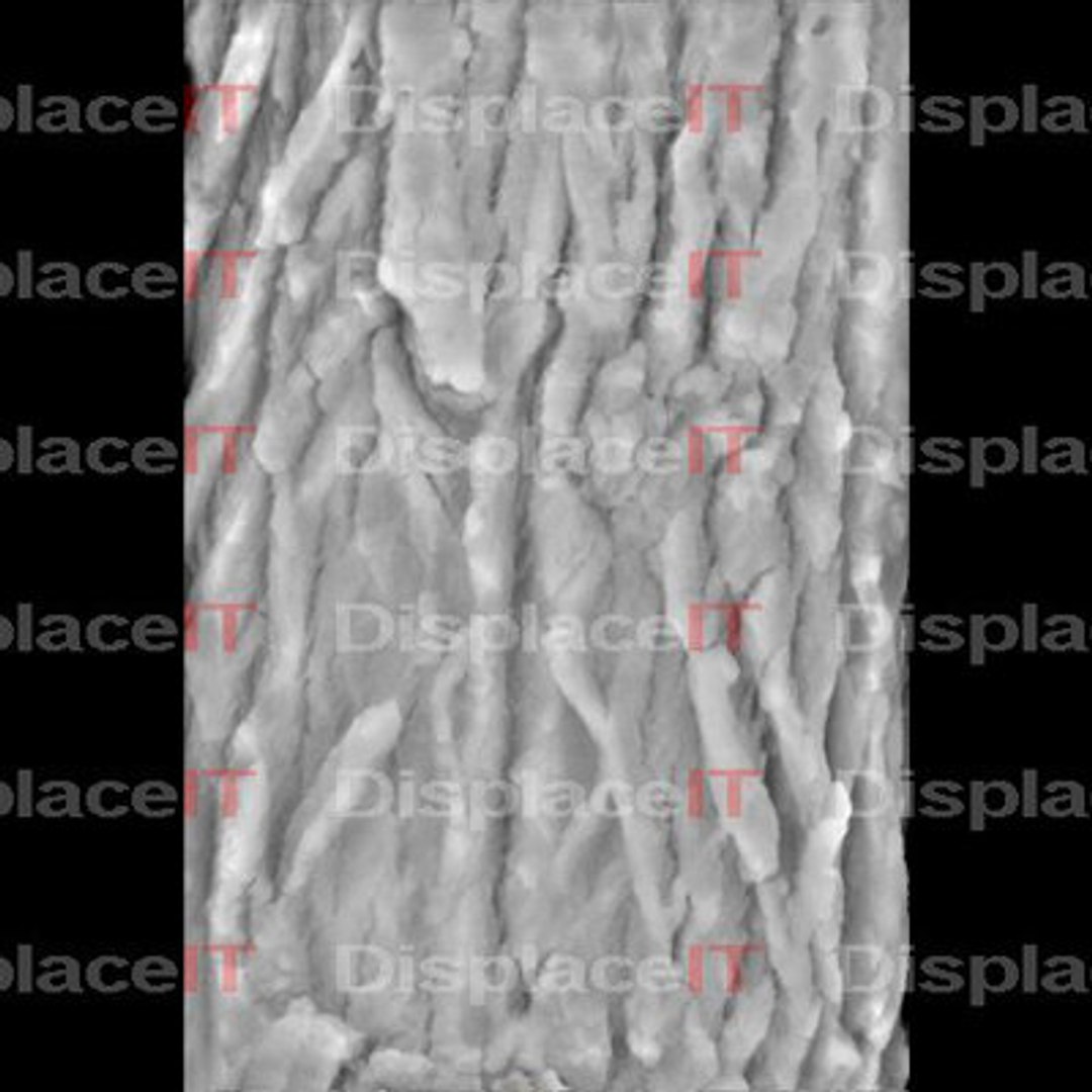 Ashen Bark - TurboSquid 372310