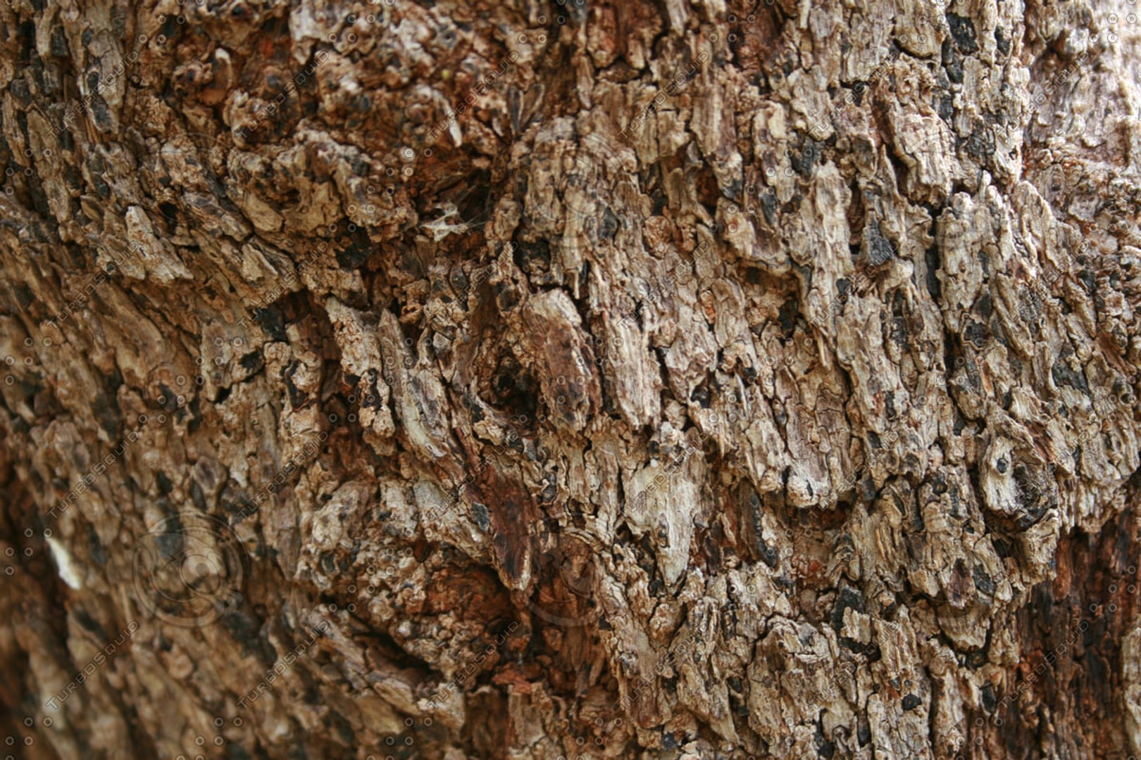 Angry Weasel Texture Pack 1 - TurboSquid 378527