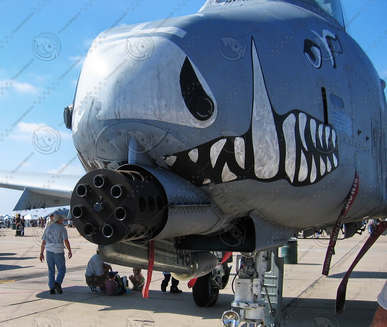 Airplanes_A10_Gun.jpg - TurboSquid 394340
