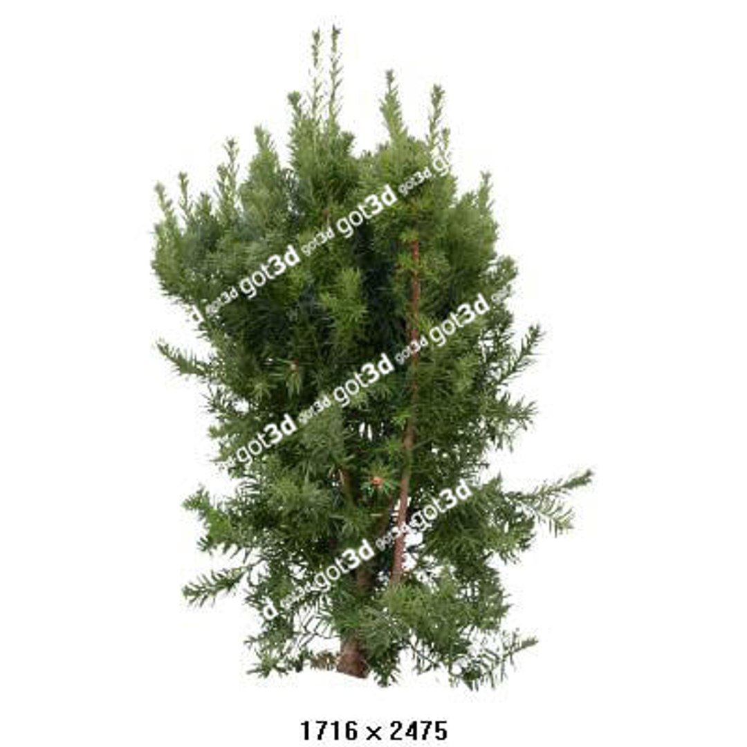 35 Bush Textures - Vol. 1 - TurboSquid 384972