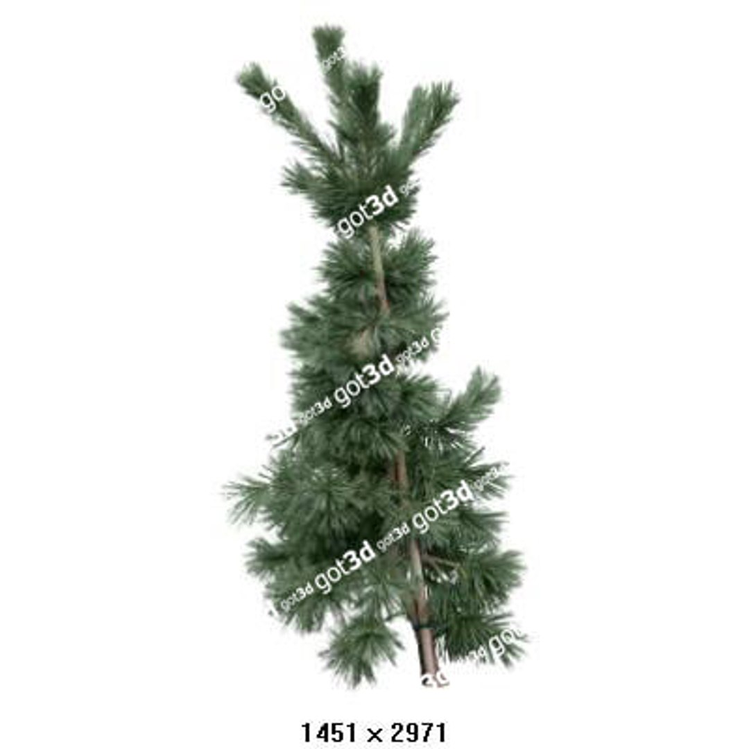 35 Bush Textures - Vol. 1 - TurboSquid 384972