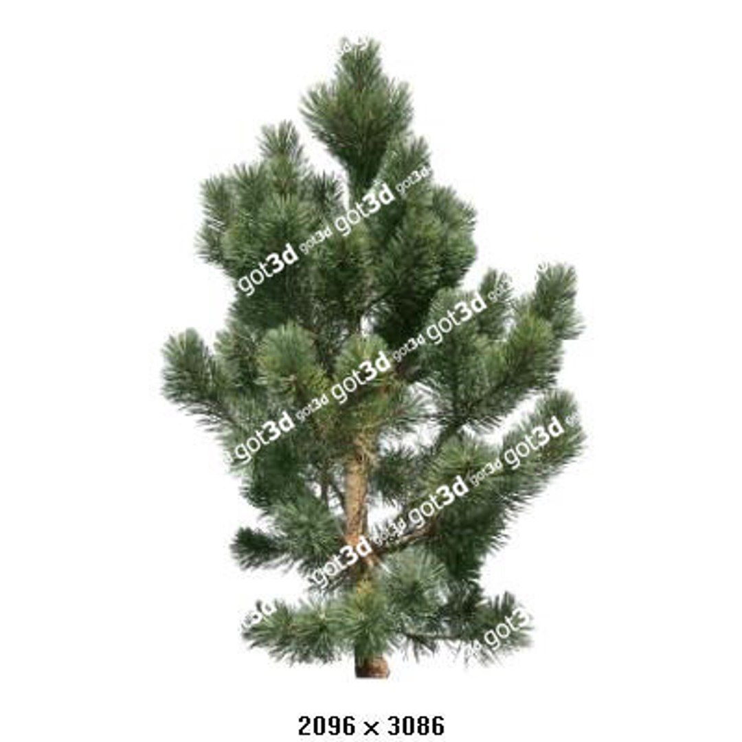 35 Bush Textures - Vol. 1 - TurboSquid 384972