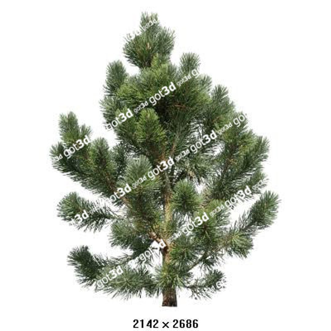 35 Bush Textures - Vol. 1 - TurboSquid 384972