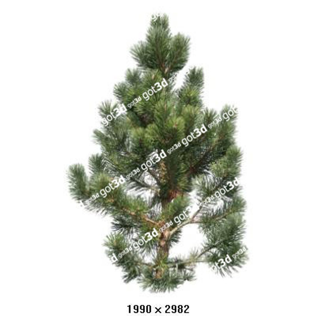 35 Bush Textures - Vol. 1 - TurboSquid 384972