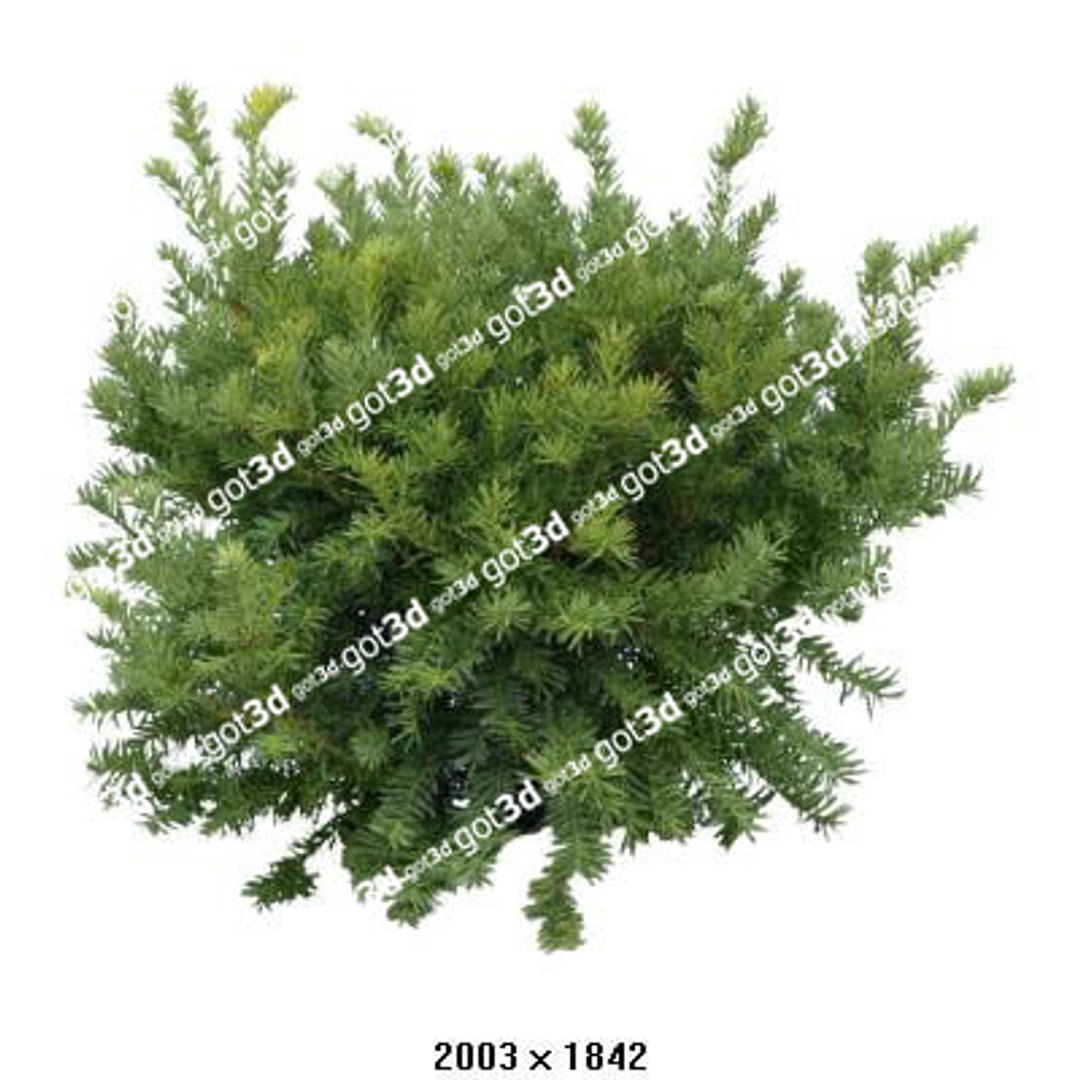 35 Bush Textures - Vol. 1 - TurboSquid 384972