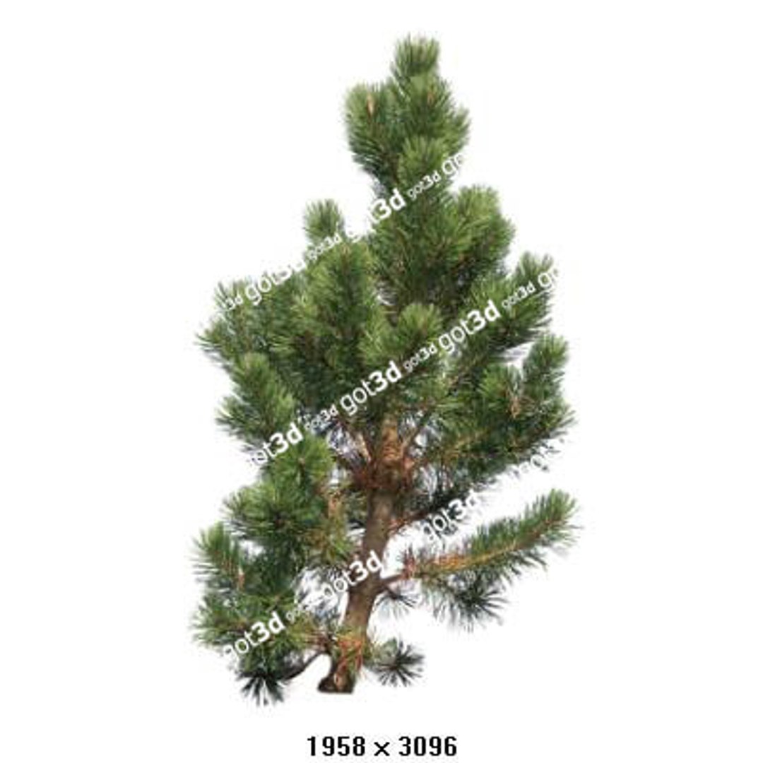 35 Bush Textures - Vol. 1 - TurboSquid 384972