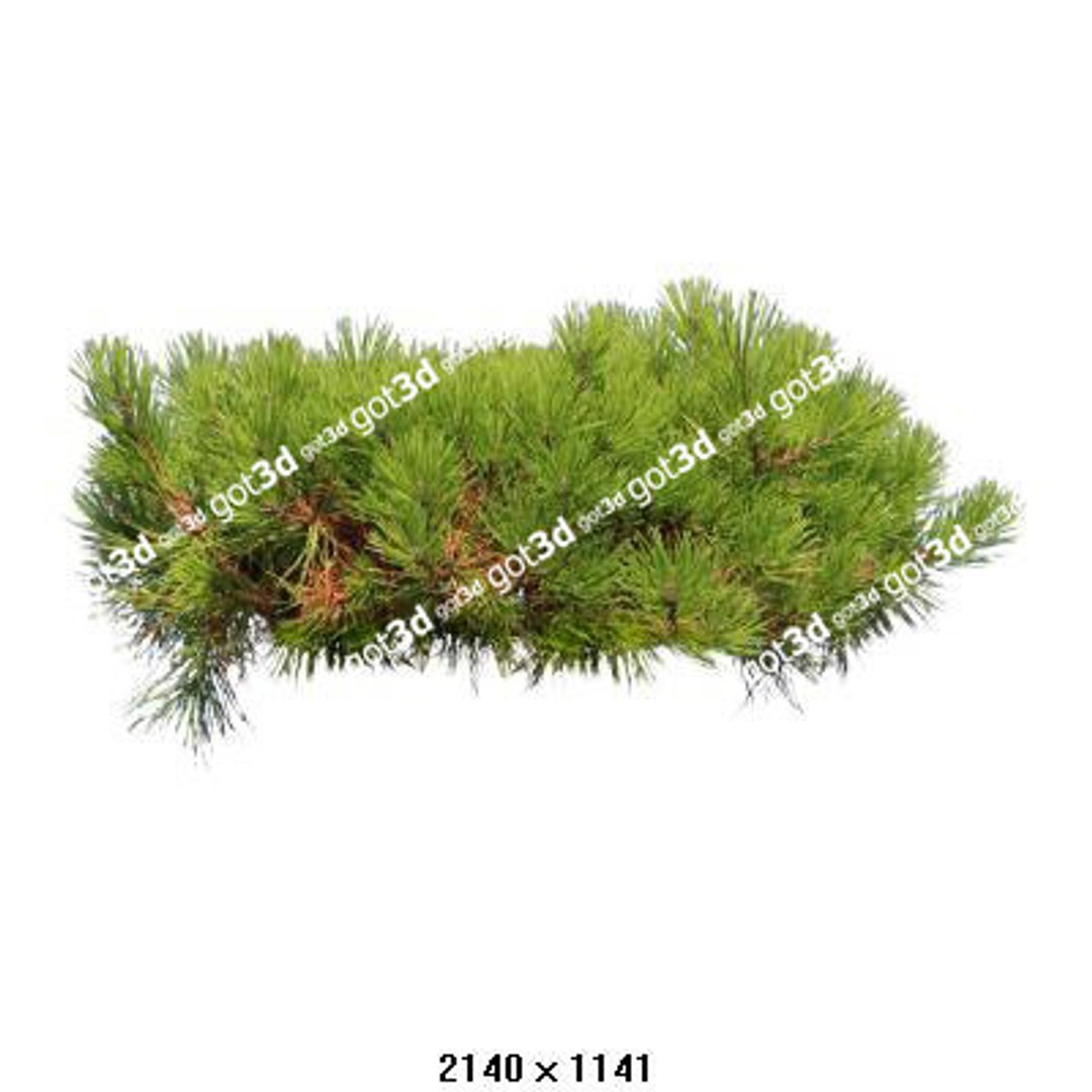 35 Bush Textures - Vol. 1 - TurboSquid 384972