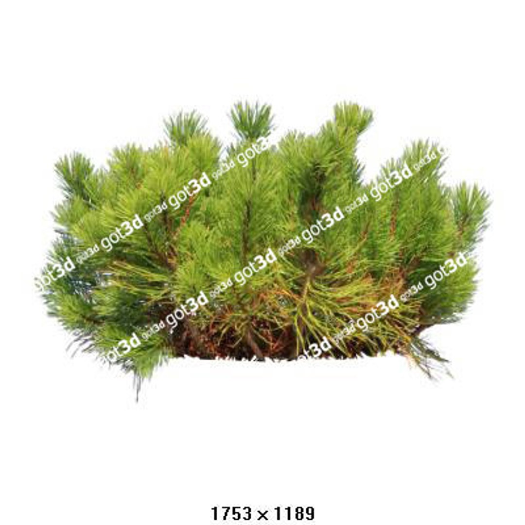 35 Bush Textures - Vol. 1 - TurboSquid 384972