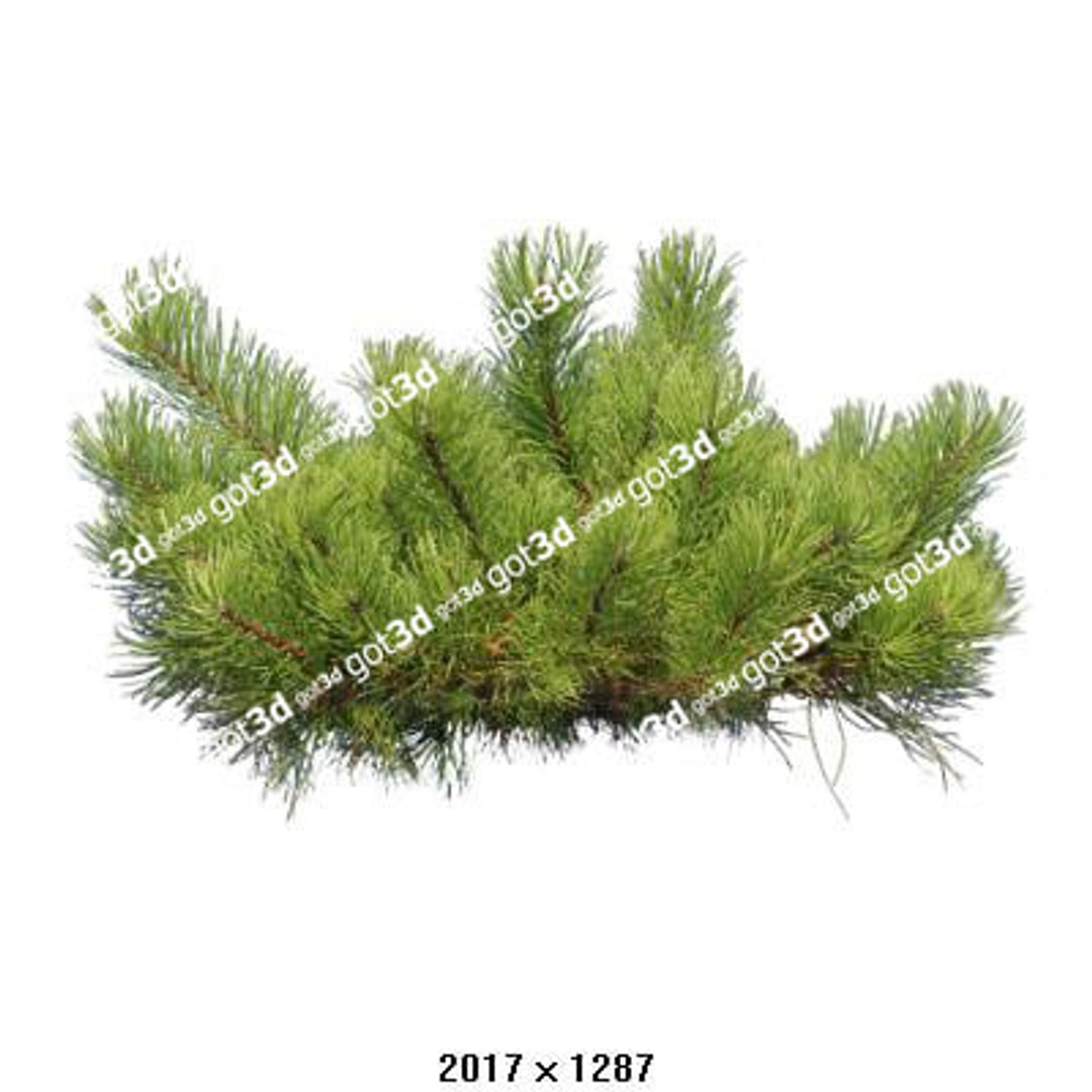 35 Bush Textures - Vol. 1 - TurboSquid 384972