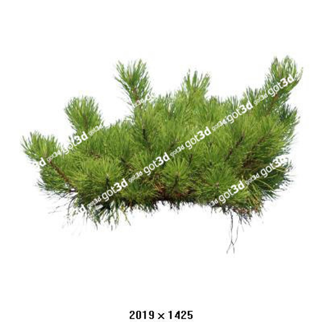 35 Bush Textures - Vol. 1 - TurboSquid 384972