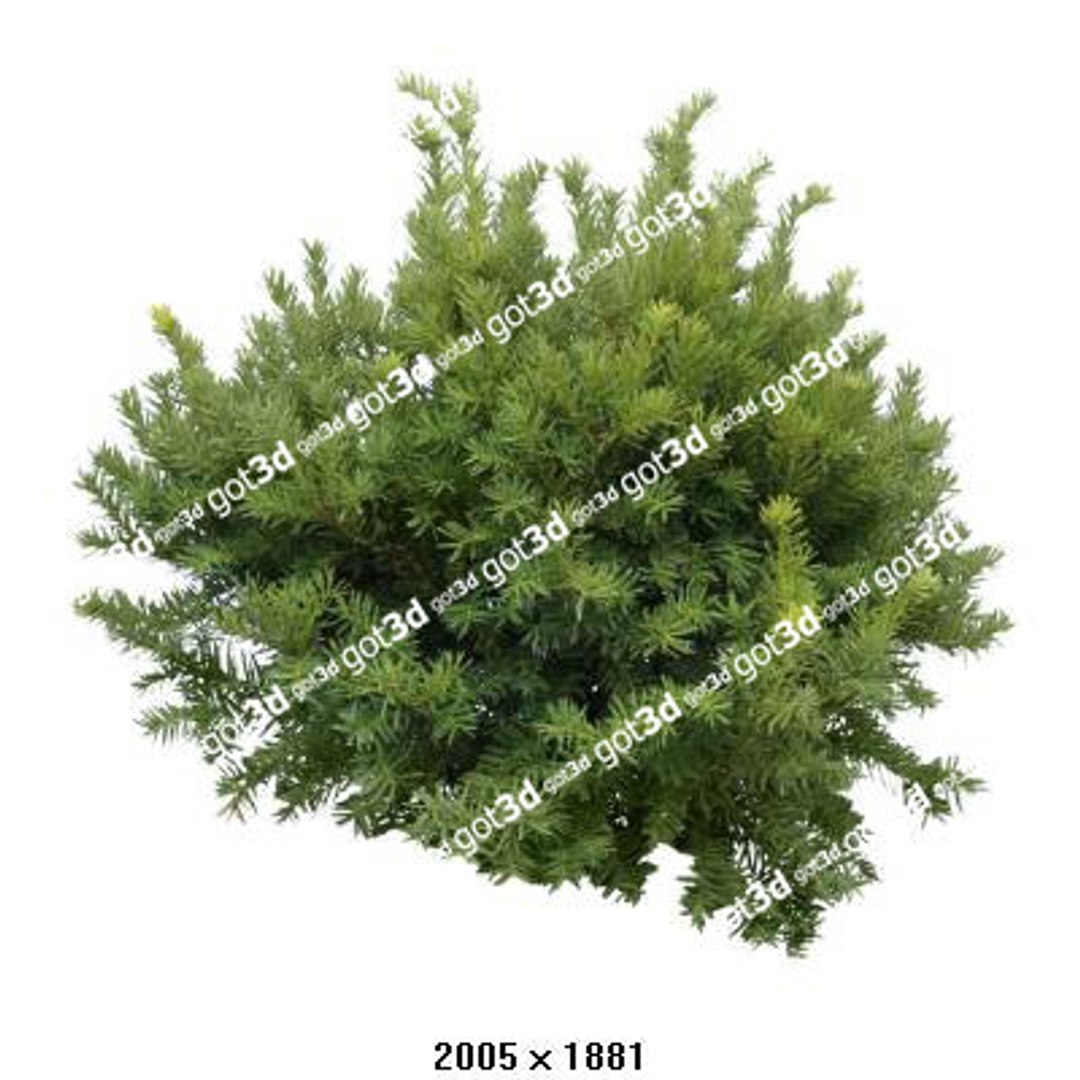 35 Bush Textures - Vol. 1 - TurboSquid 384972