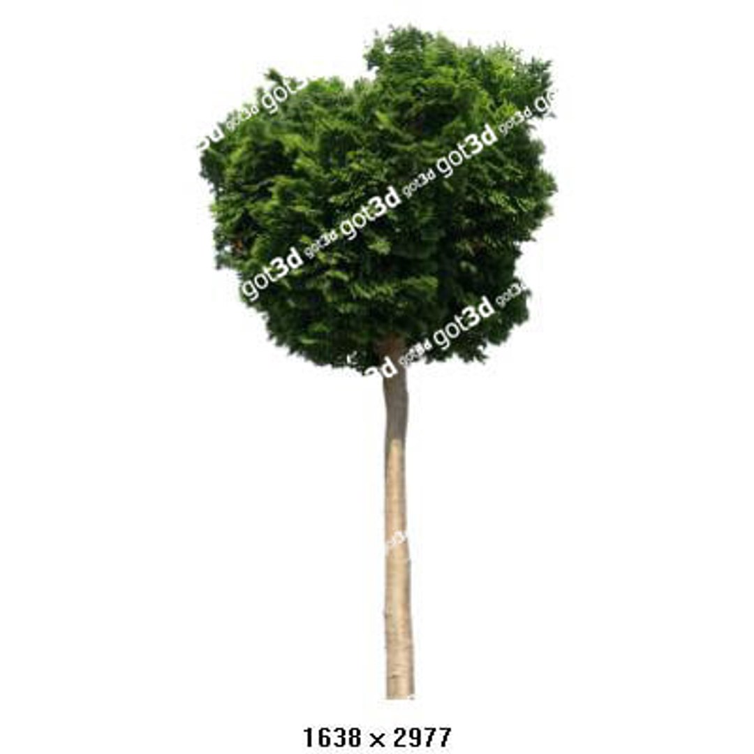 35 Bush Textures - Vol. 1 - TurboSquid 384972