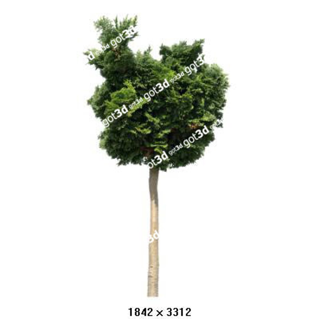 35 Bush Textures - Vol. 1 - TurboSquid 384972