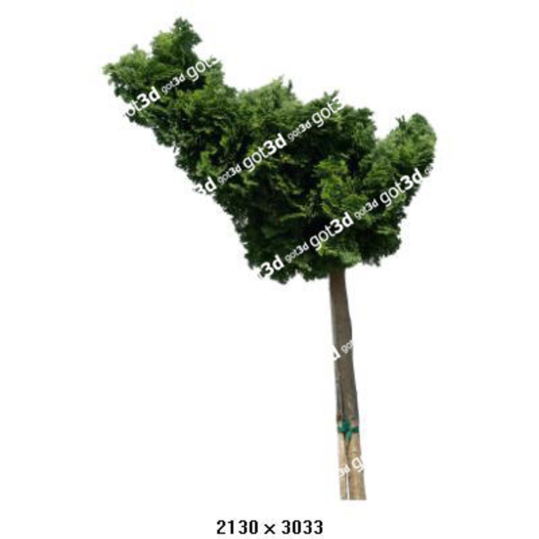 35 Bush Textures - Vol. 1 - TurboSquid 384972