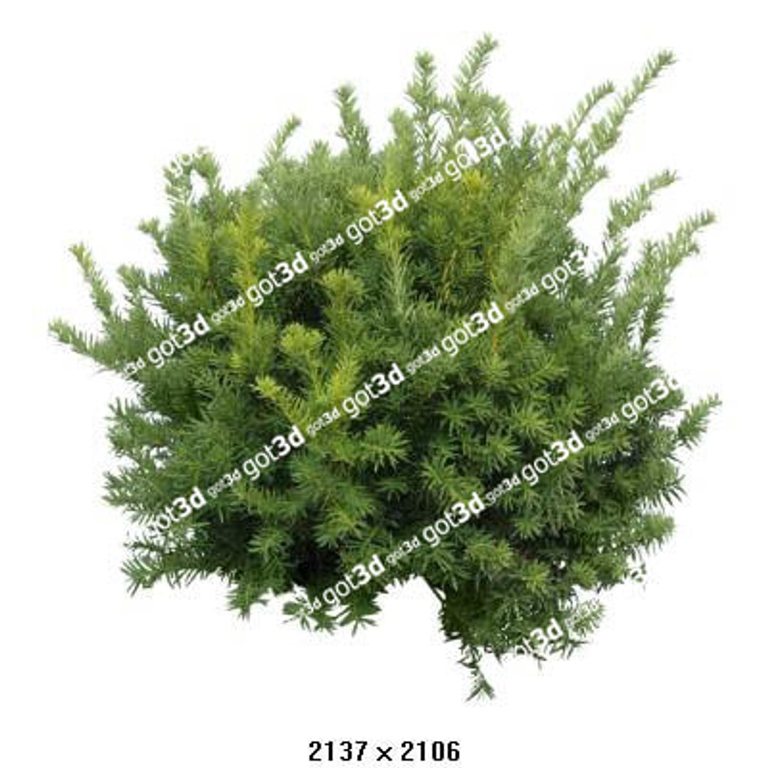 35 Bush Textures - Vol. 1 - TurboSquid 384972