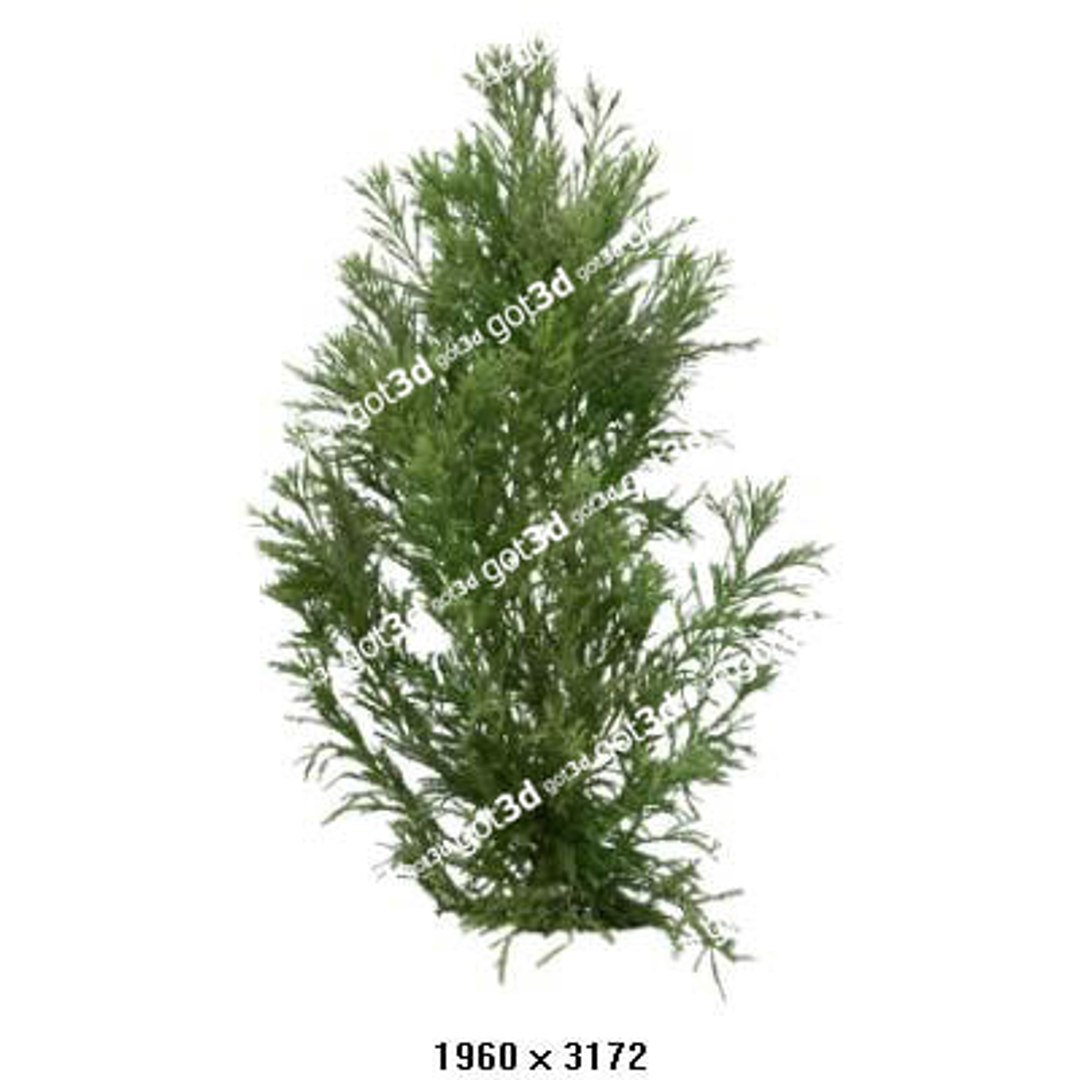 35 Bush Textures - Vol. 1 - TurboSquid 384972