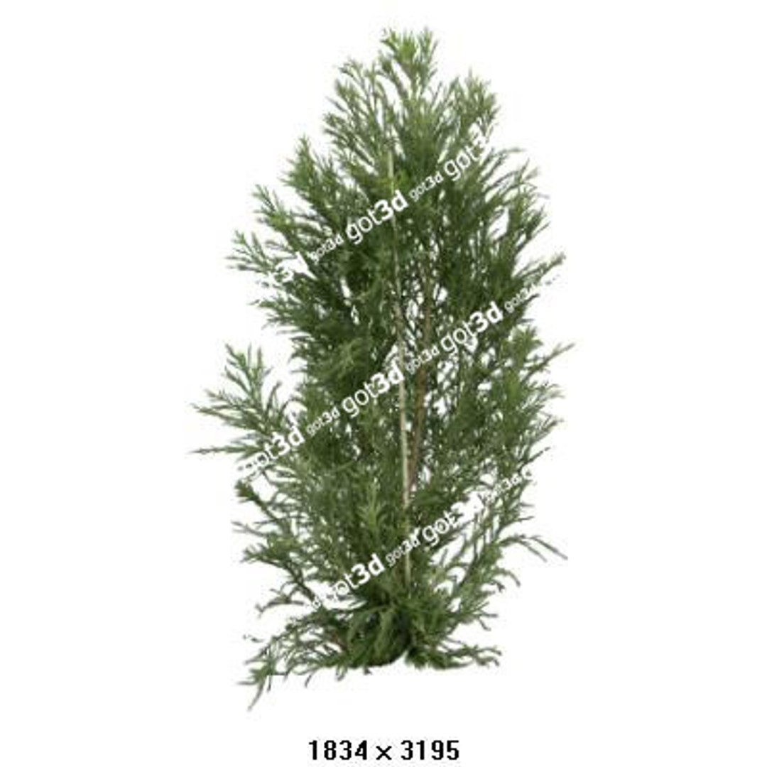 35 Bush Textures - Vol. 1 - TurboSquid 384972