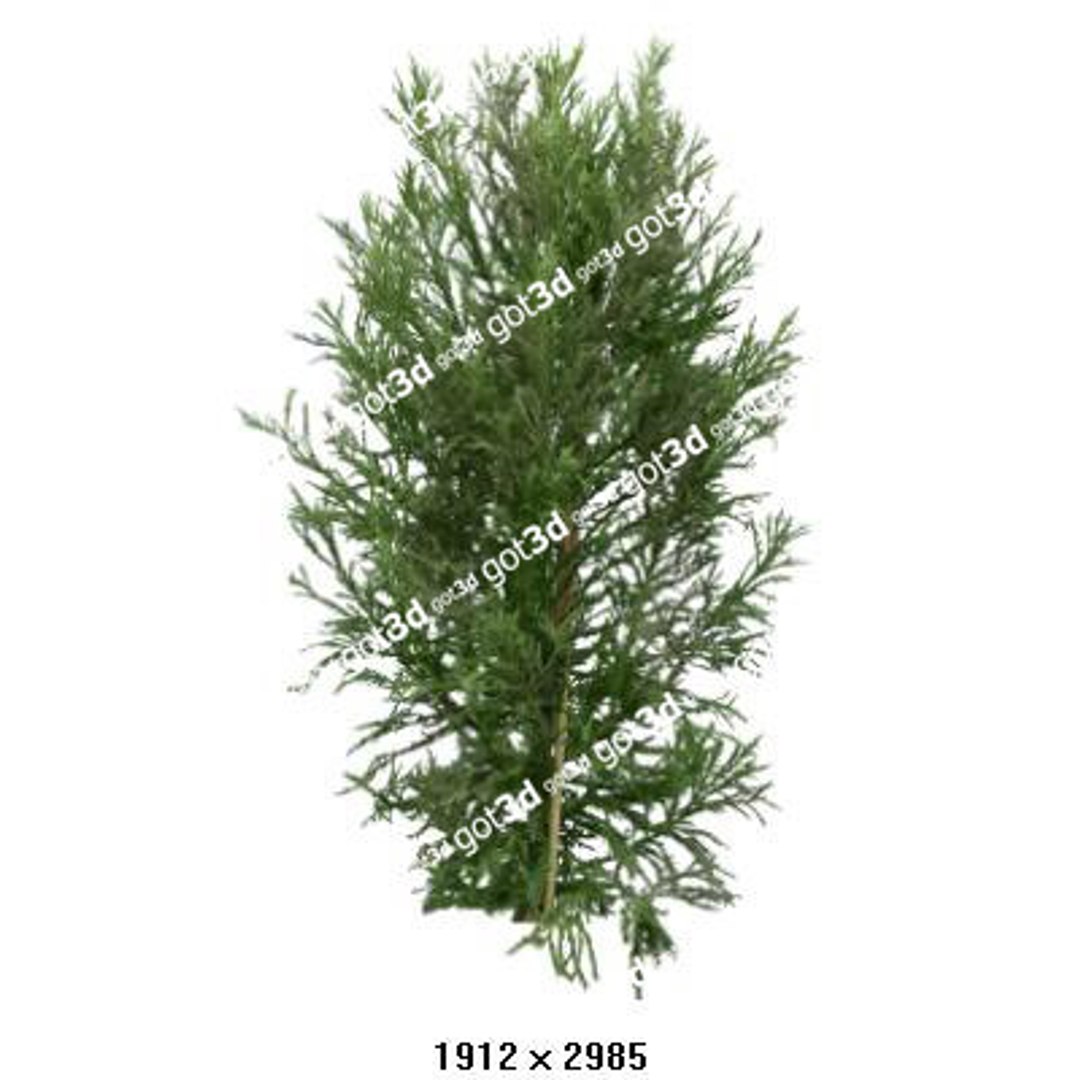 35 Bush Textures - Vol. 1 - TurboSquid 384972