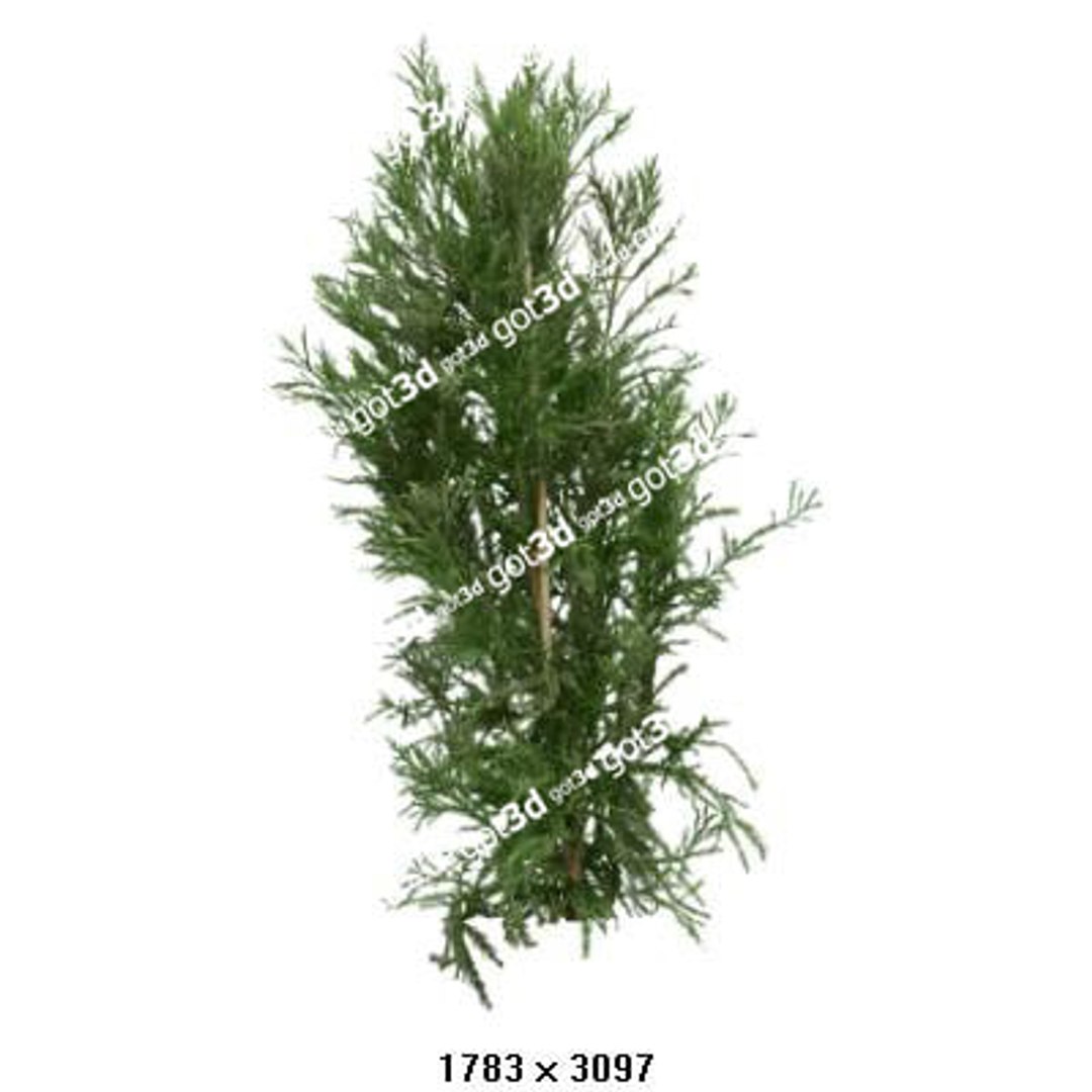 35 Bush Textures - Vol. 1 - TurboSquid 384972