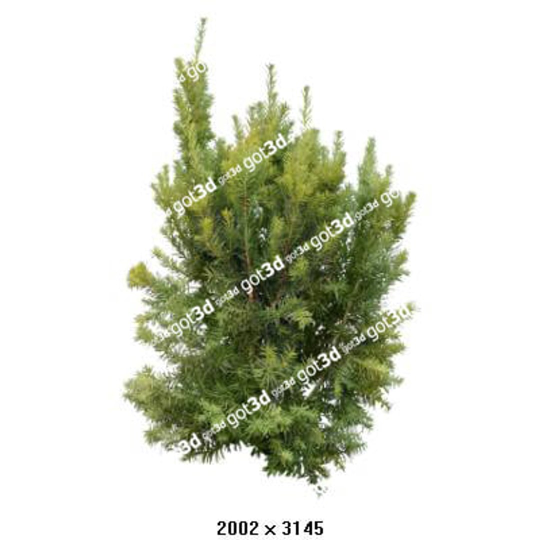 35 Bush Textures - Vol. 1 - TurboSquid 384972