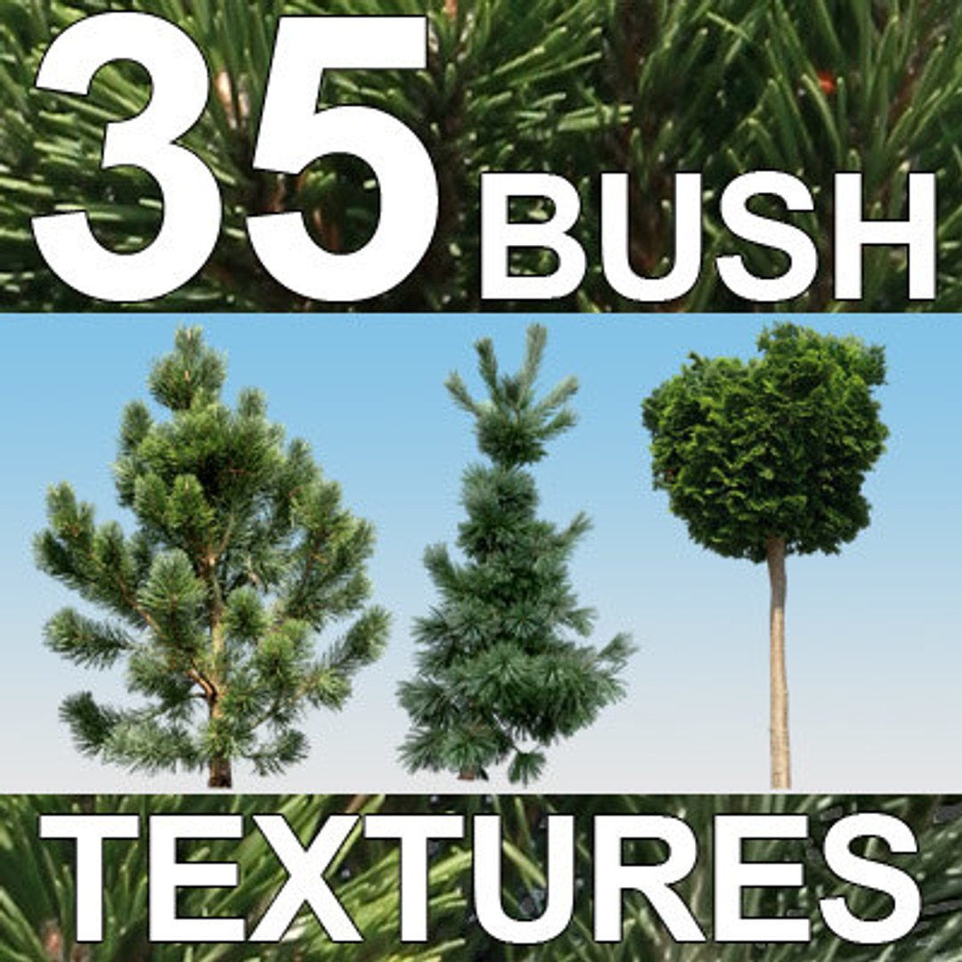 35 Bush Textures - Vol. 1 - TurboSquid 384972