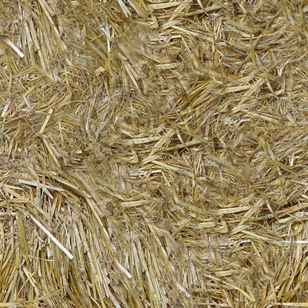 Tileable Straw/Hay texture - TurboSquid 396932