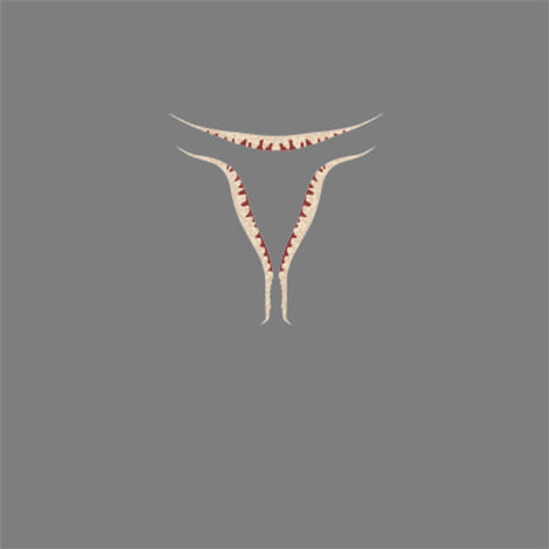 High-res Image Of The Uterus - TurboSquid 382600