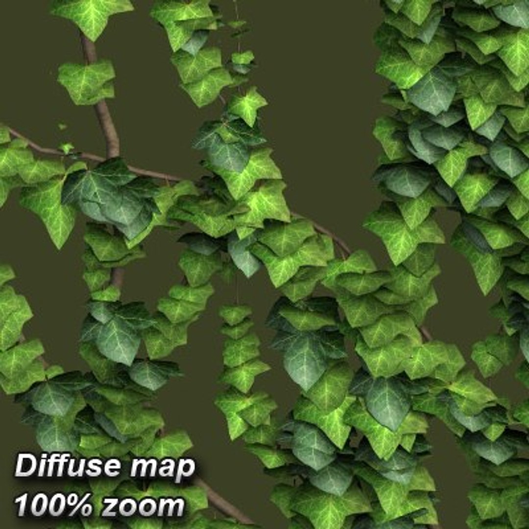 Ivy Textures Pack 1 - TurboSquid 409625