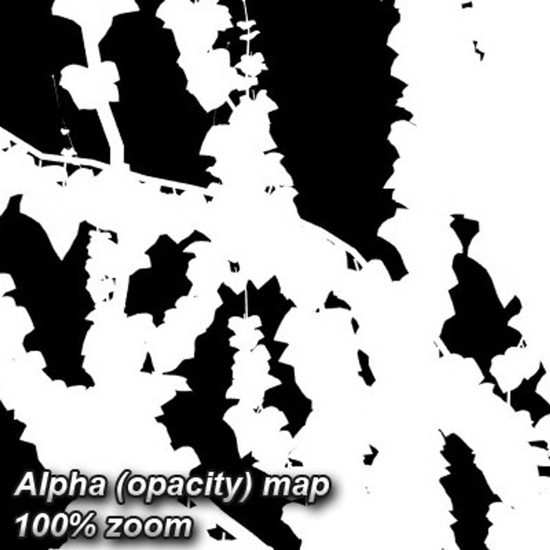 Ivy Textures Pack 1 - TurboSquid 409625