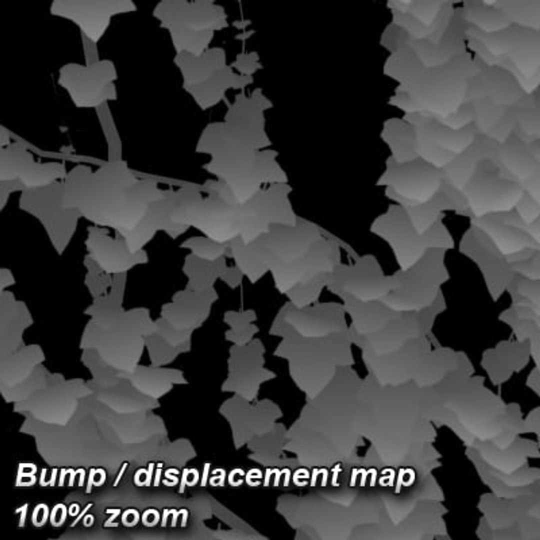 Ivy Textures Pack 1 - TurboSquid 409625