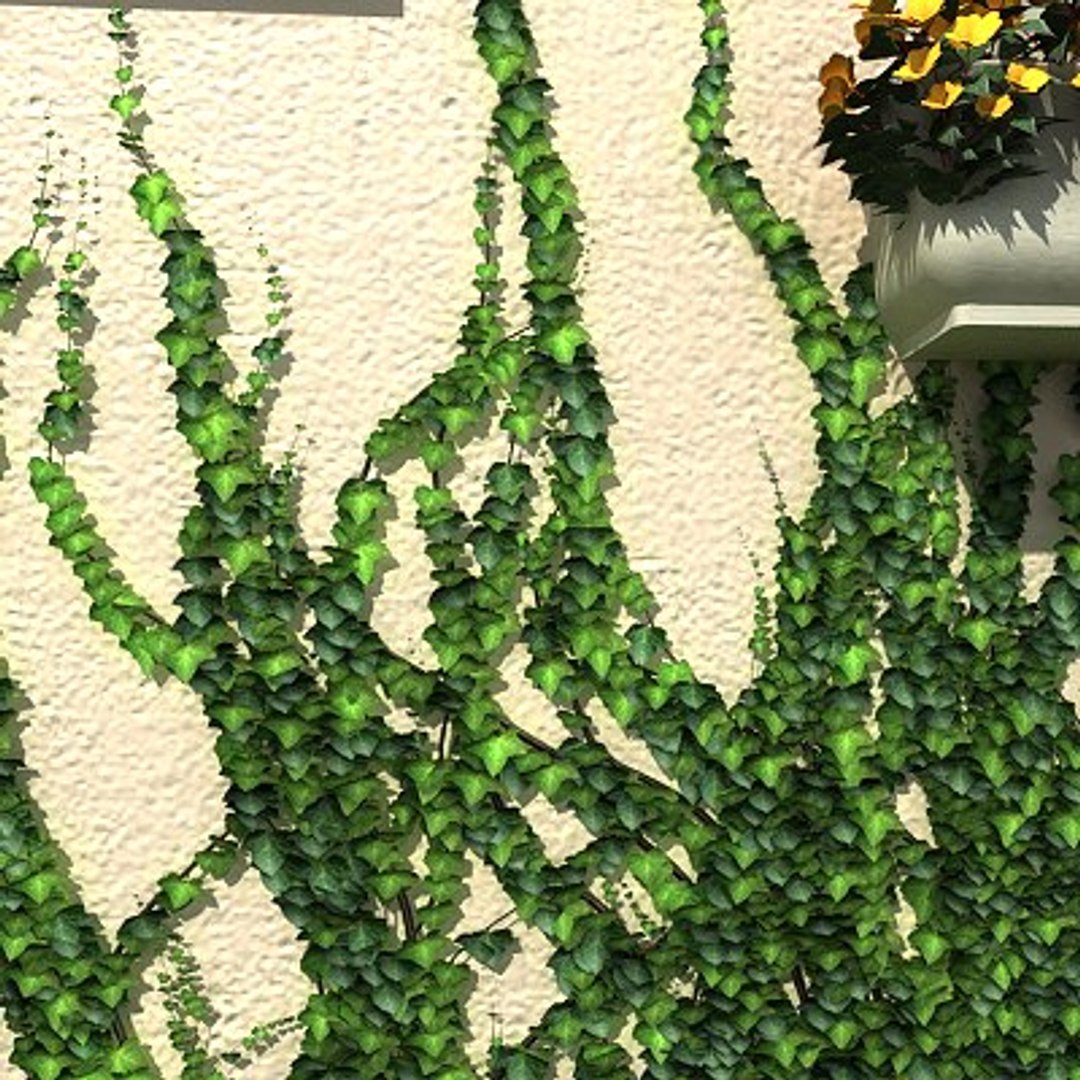 Ivy Textures Pack 1 - TurboSquid 409625