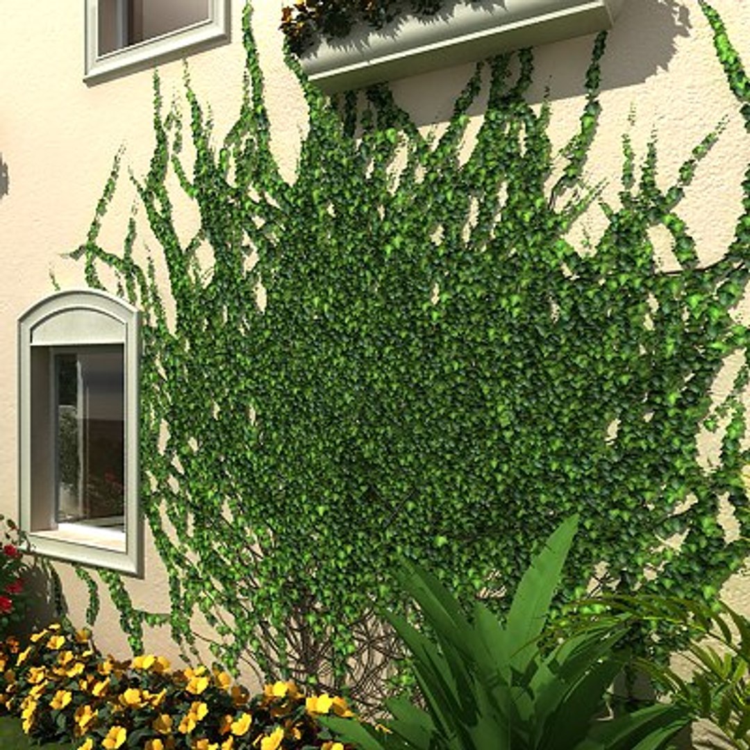 Ivy Textures Pack 1 - TurboSquid 409625