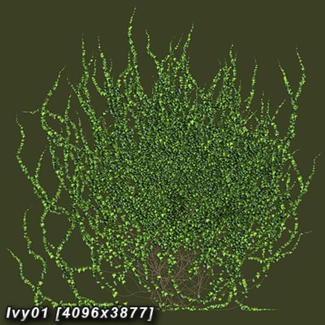 Ivy Textures Pack 1 - TurboSquid 409625