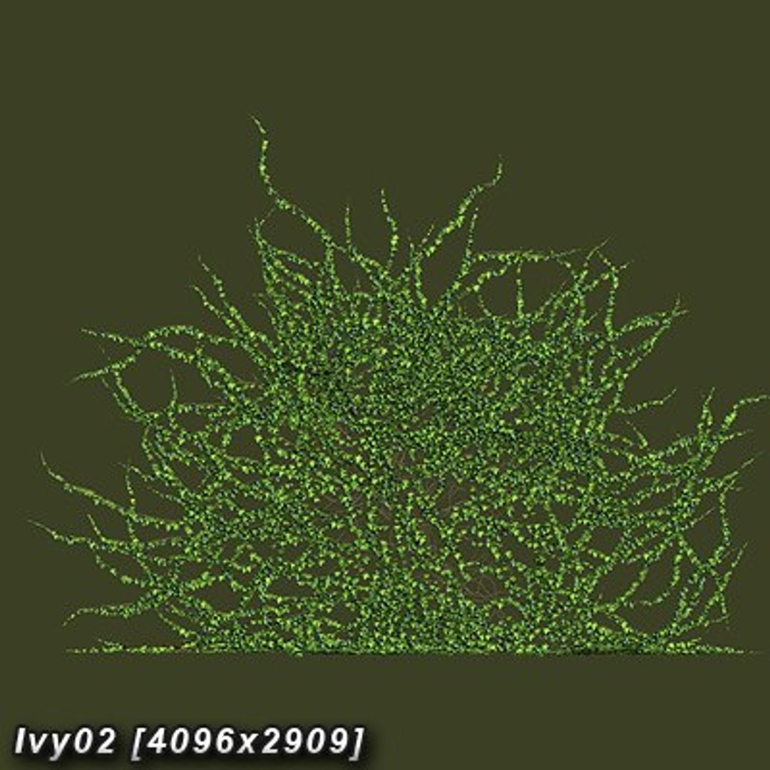 Ivy Textures Pack 1 - TurboSquid 409625