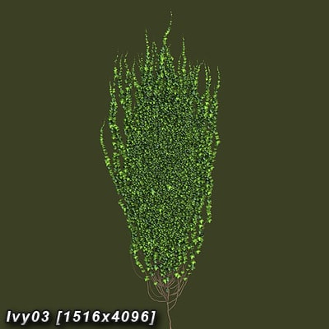 Ivy Textures Pack 1 - TurboSquid 409625