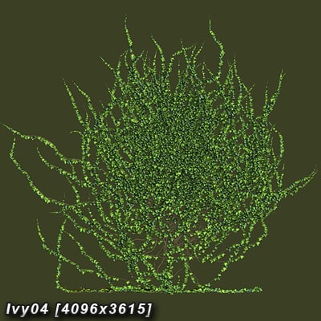 Ivy Textures Pack 1 - TurboSquid 409625