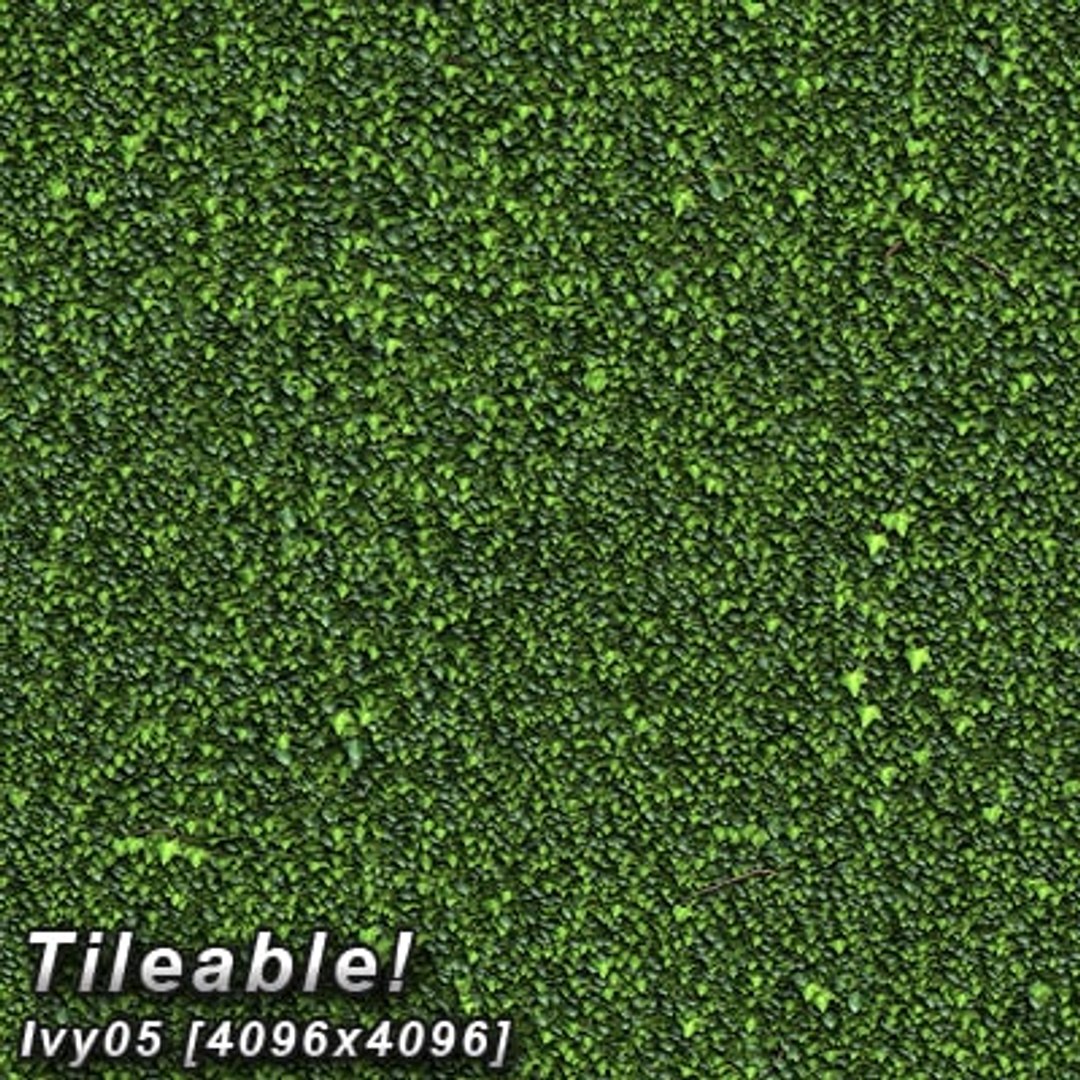 Ivy Textures Pack 1 - TurboSquid 409625
