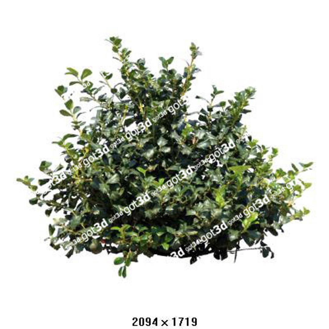 63 Shrub Textures - TurboSquid 386463