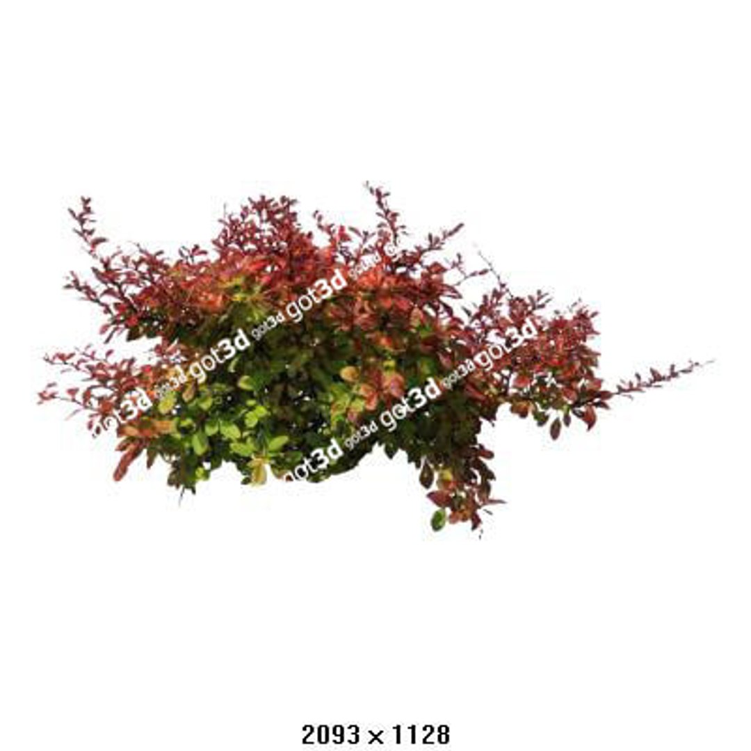 63 Shrub Textures - TurboSquid 386463