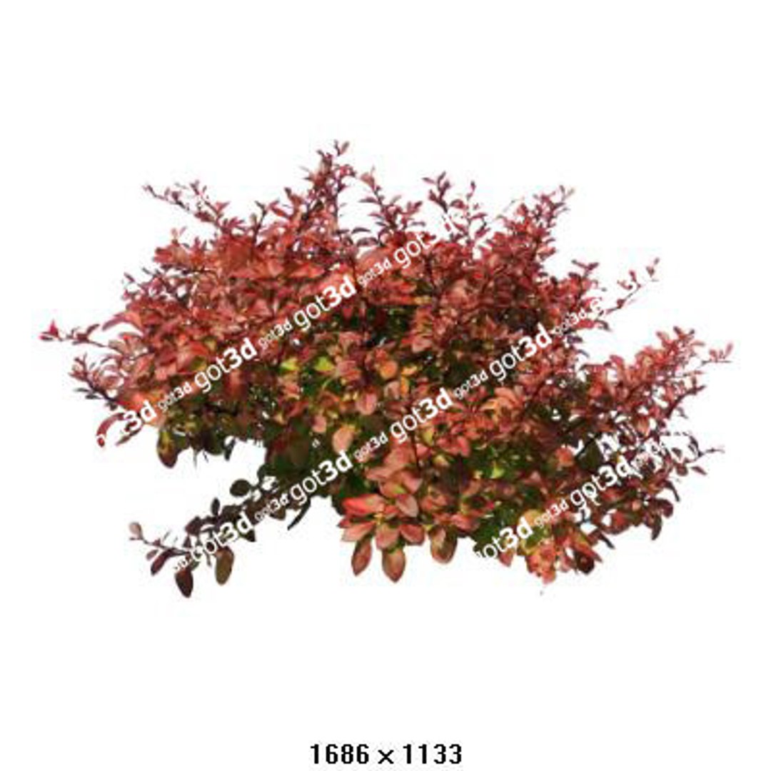 63 Shrub Textures - TurboSquid 386463