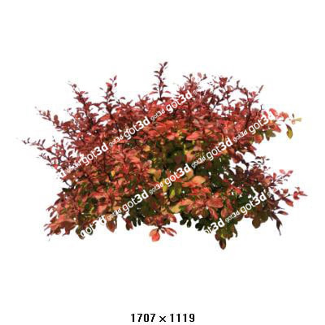 63 Shrub Textures - TurboSquid 386463