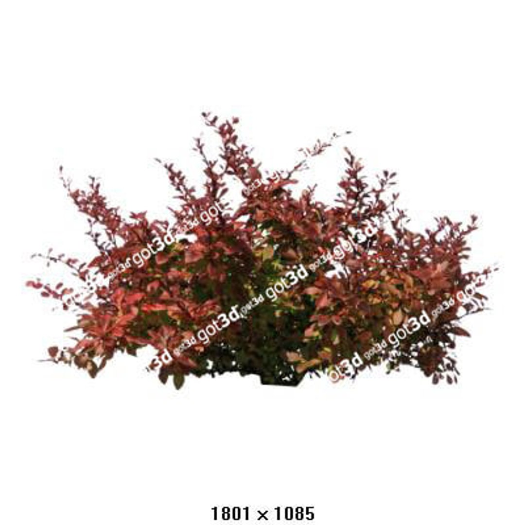 63 Shrub Textures - TurboSquid 386463