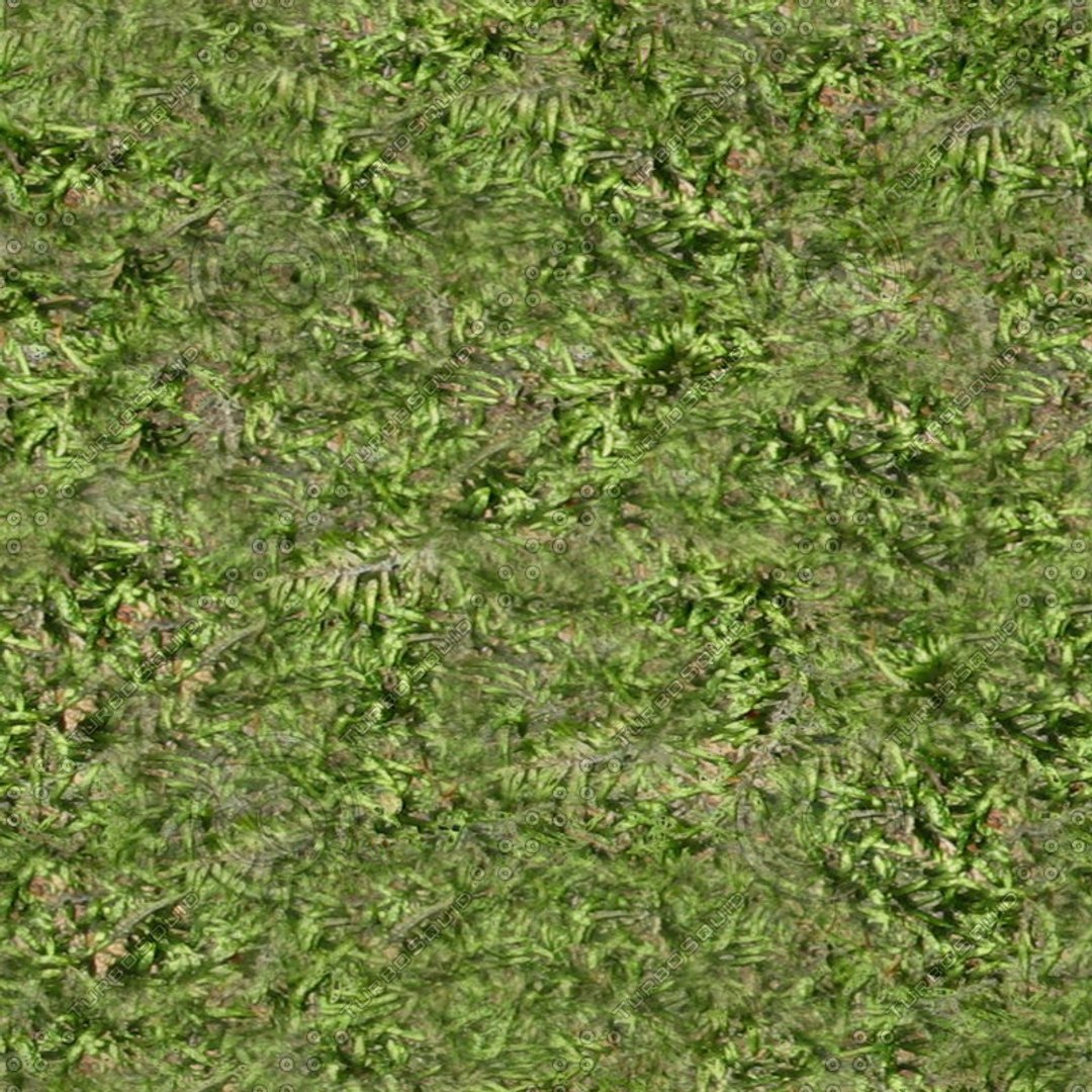 Tileable Moss Texture - TurboSquid 385133