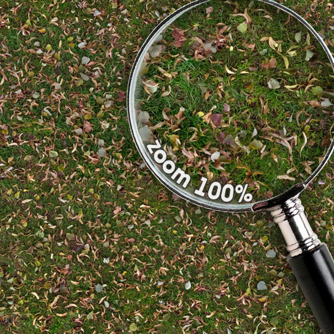 Grass Textures Vol.1 - TurboSquid 431026