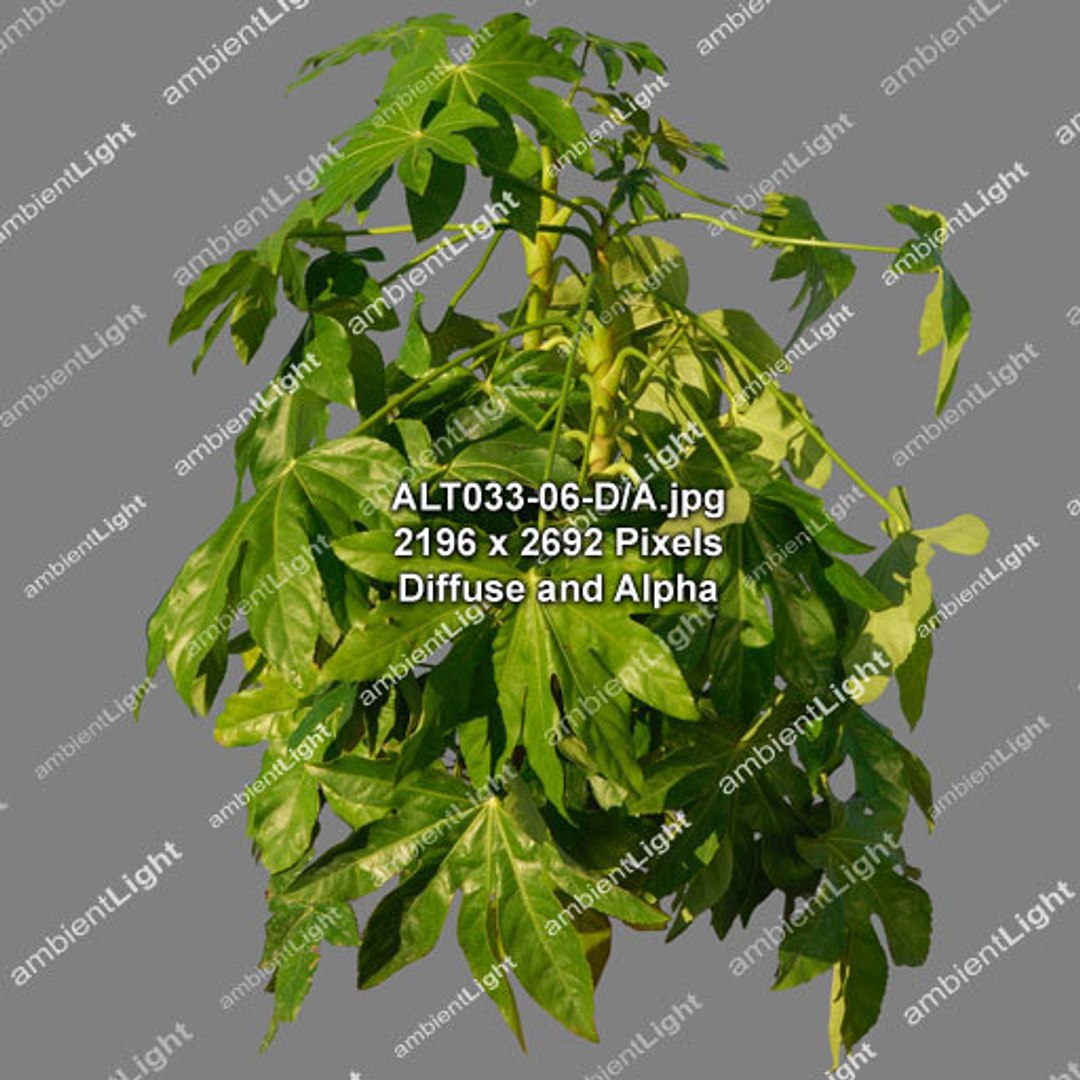 Plant Textures Vol 6 - 24 Various Plants - TurboSquid 409328