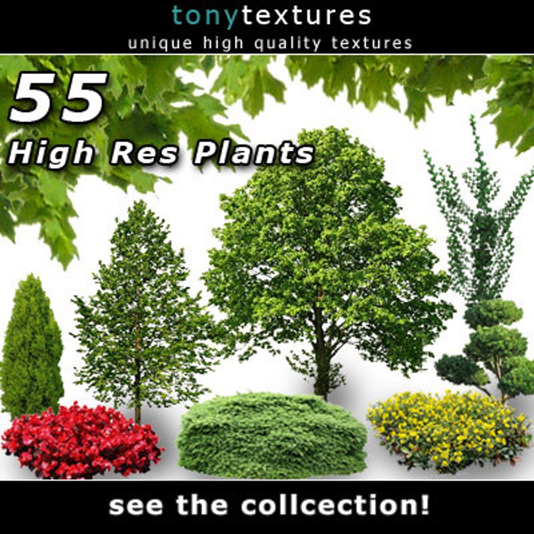 Shrub Scrub 03 - High Resolution Bush - TurboSquid 428262