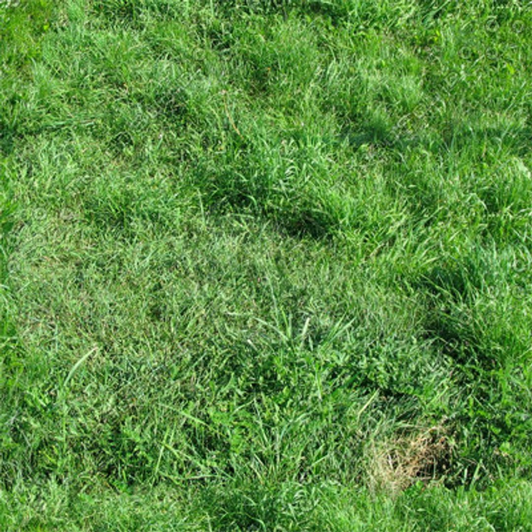 Ground_grass_14 - TurboSquid 413098